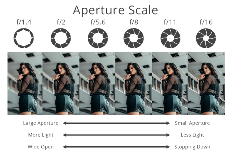 DSLR Camera Settings: Your Guide To Achieving The Perfect Shot - LA ...